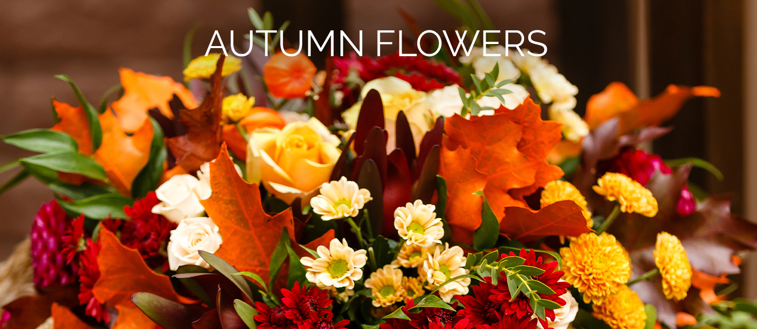 Florist in Torquay delivering same day flowers across Devon - The ...